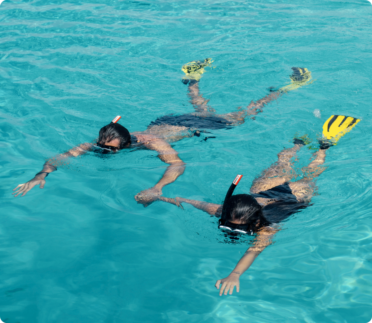 The Mora - Follow your mood into the moment